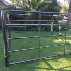 Vee Selfvoerders / Self Feeders – Kokama